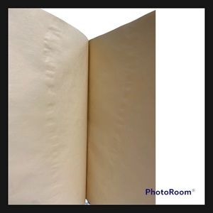 Lisa Frank | Office | Vintage Lisa Frank Sock Hop Dance Shoes Large ...